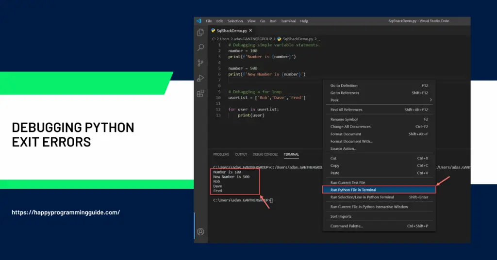 Debugging Python Exit Errors A Comprehensive Guide